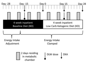 Science Confirms It: Carbs DON’T Make You Fat
