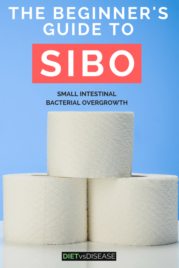 The Beginner's Guide to SIBO: Antibiotics and Diet Recommendations