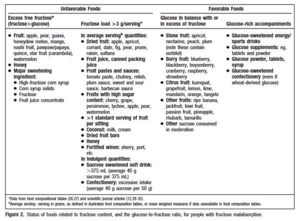 Fructose Malabsorption: A Beginner's Guide to Treatment