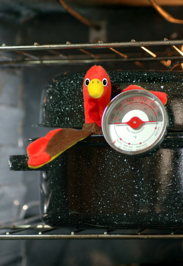 How to Cook Turkey: Traditional Roast Turkey Made Easy | Diet vs Disease