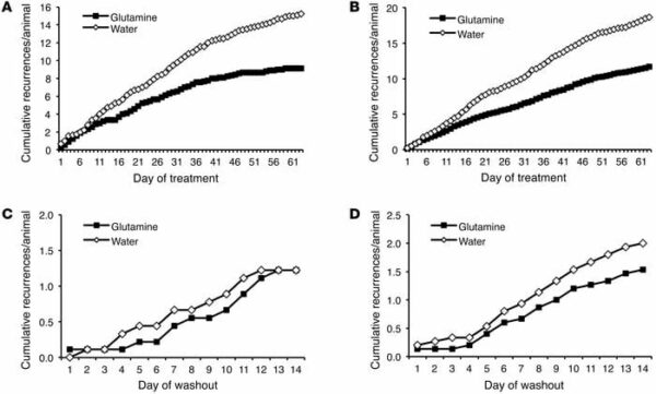 L-Glutamine Supplements: A Sales-Free Look | Diet vs Disease