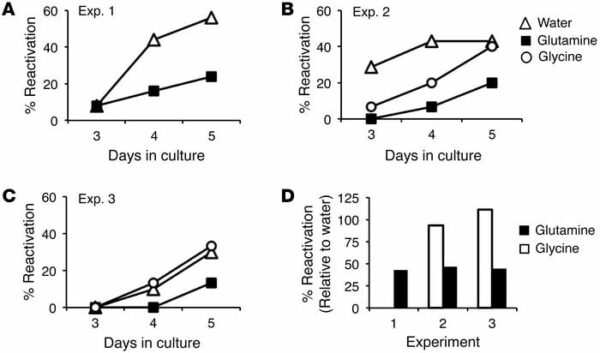 L-Glutamine Supplements: A Sales-Free Look | Diet vs Disease