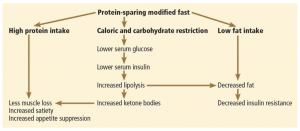 The Beginner's Guide To A Protein-Sparing Modified Fast (PSMF) | Diet ...