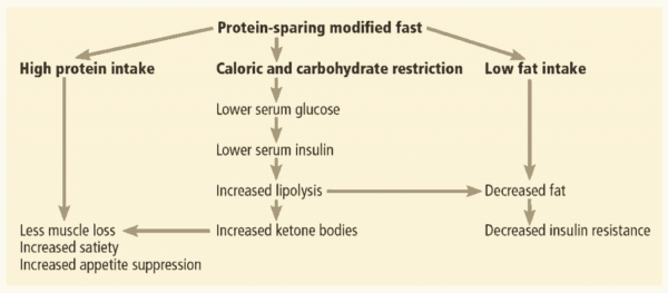 The Beginner's Guide To A Protein-Sparing Modified Fast (PSMF) | Diet ...