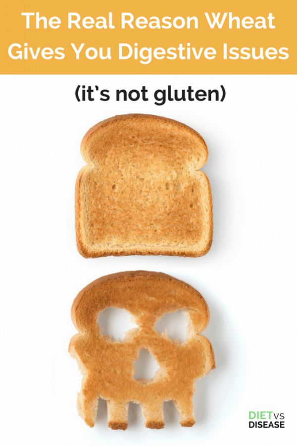 Sorry, Your Gluten Sensitivity Is Actually A Fructan Intolerance | Diet ...