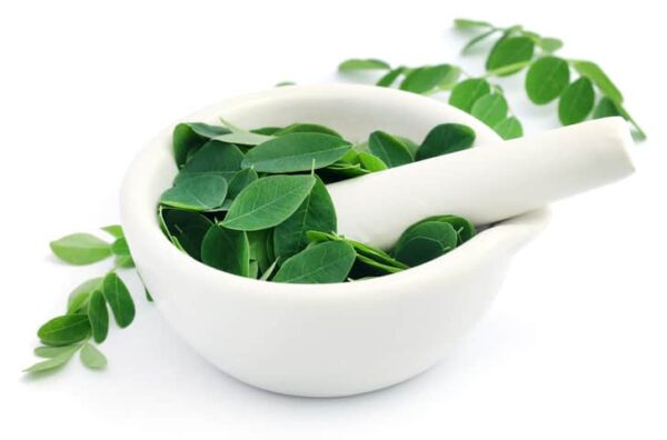 7 Benefits of Moringa: From Developing Countries to Supplements | Diet ...