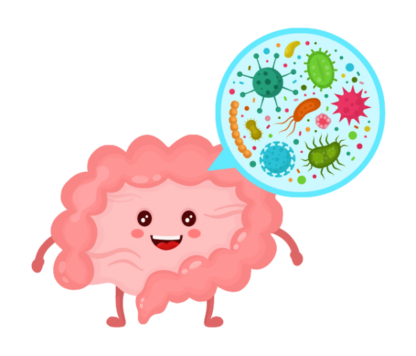 Microscopic Colitis And Diet: Beginner’s Guide To Treatment | Diet vs ...