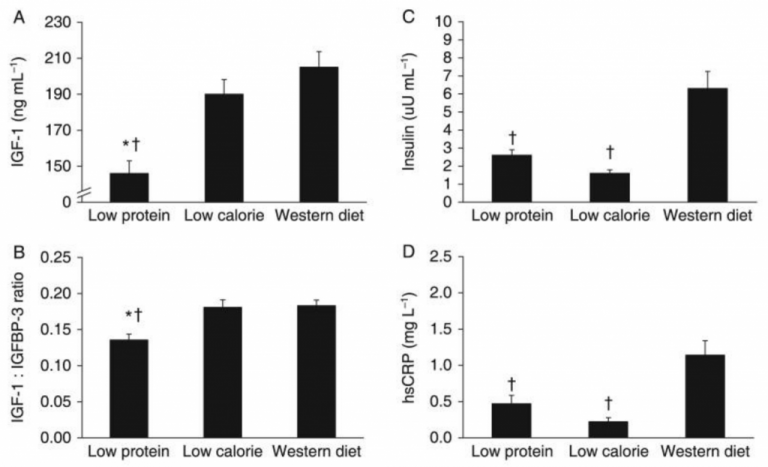 IGF-1: Miracle Hormone or Health Hazard? | Diet vs Disease