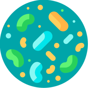 What Are Prebiotics? A Detailed Look At Prebiotic Foods and Fiber ...