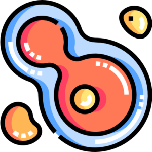 Autophagy Explained: The Only Real Way To Cleanse Your Body | Diet vs ...