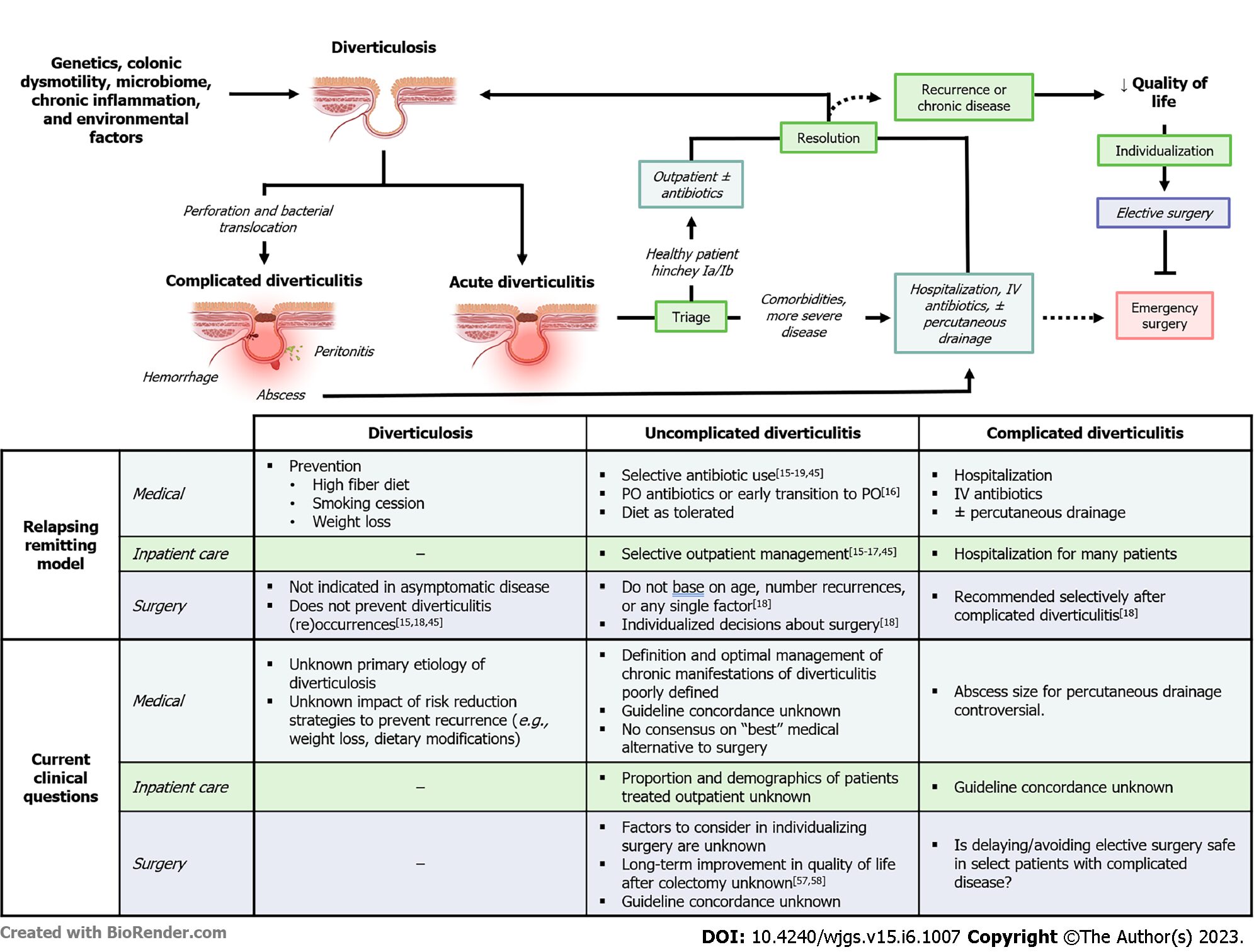 How To Treat Diverticulitis: The 2 Steps You Need To Know | Diet vs Disease