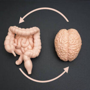 IBS, Anxiety & Bladder Issues: The Hidden Link Doctors Miss | Diet vs ...